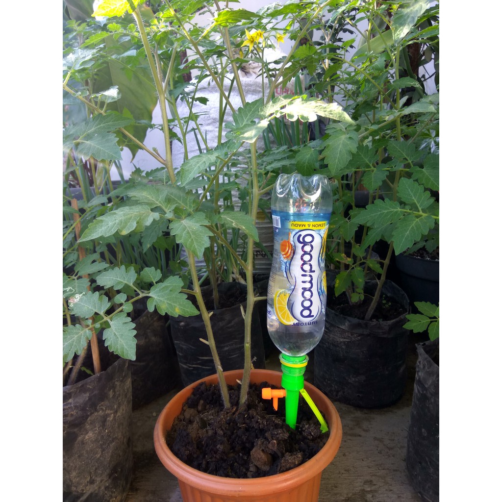 Jual Penyiram Otomatis Tetes | Shopee Indonesia