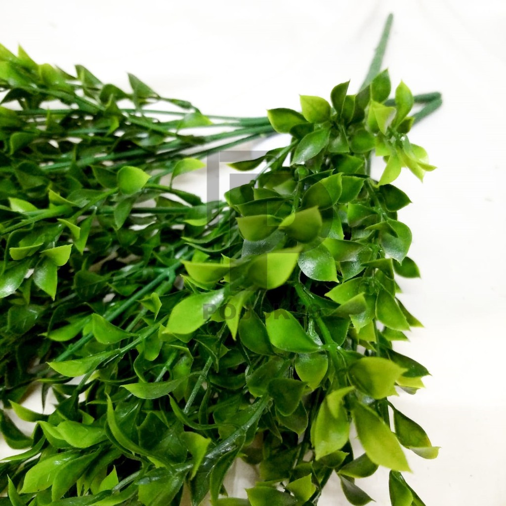 Jual Daun Soya Rumput Artificial Hiasan Seserahan, Mahar, Backdrop, dan ...