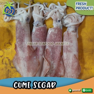 Jual Cumi-cumi Segar Fresh squid / Cumi Bangka - Sero enak Kiloan Pasar ...