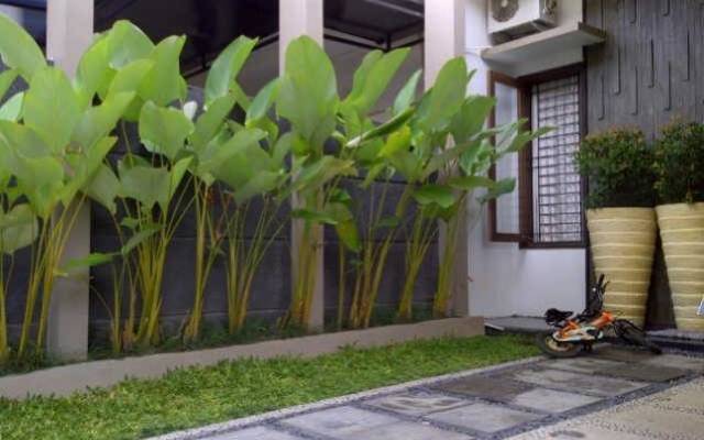 Wajib Tahu! Contoh Bunga Pagar yang Mantul! - Informasi Seputar Tanaman ...