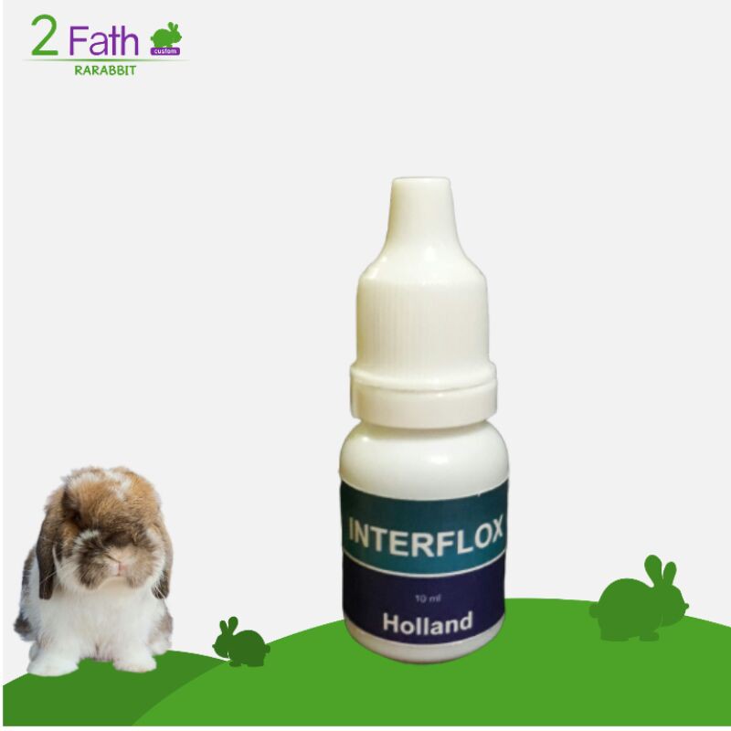 Jual Interflox Oral repack 10 ml obat flu diare kelinci sapi ayam ...