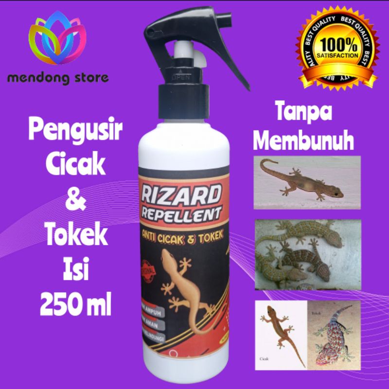 Jual PEMBASMI CICAK SEMPROT ANTI CICAK SPRAY PEMBASMI CICAK DAN TOKEK ...