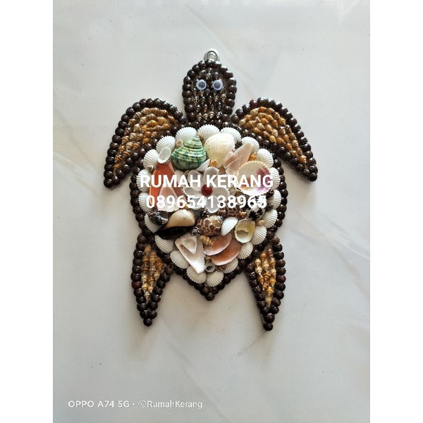 Jual HIASAN KERANG KURA-KURA PENYU PRAKARYA UNIK | Shopee Indonesia