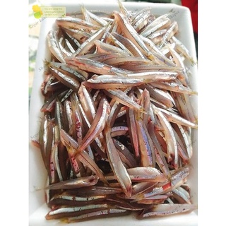 Jual Ikan Teri Segar Ikan Teri Basah Ikan Teri 1Kg Fresh Ikan Hasil ...