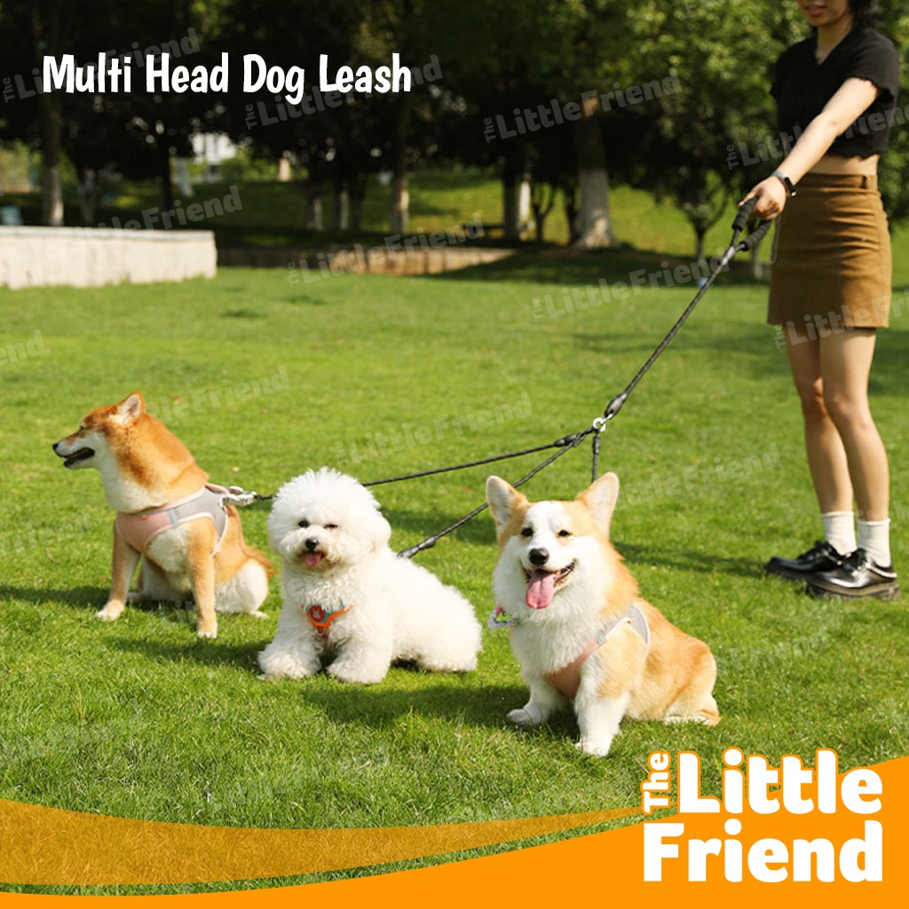 Jual Tali Tuntun Anjing Kembar/Ganda/Double/Dog Triple Twin Leash Heads ...