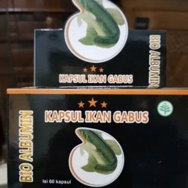 Jual Bio Albumin kapsul ikan gabus | Shopee Indonesia