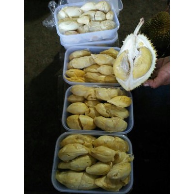 Jual Durian Kupas Ucok. Durian Medan Durian Sidikalang Indonesia|Shopee ...