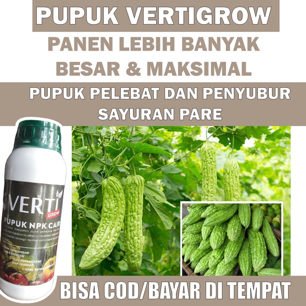 Jual VERTI-GROW PUPUK NPK CAIR TERBAIK MELEBATKAN PARE, TANAMAN SAYURAN PARE Menjadi Besar dan ...