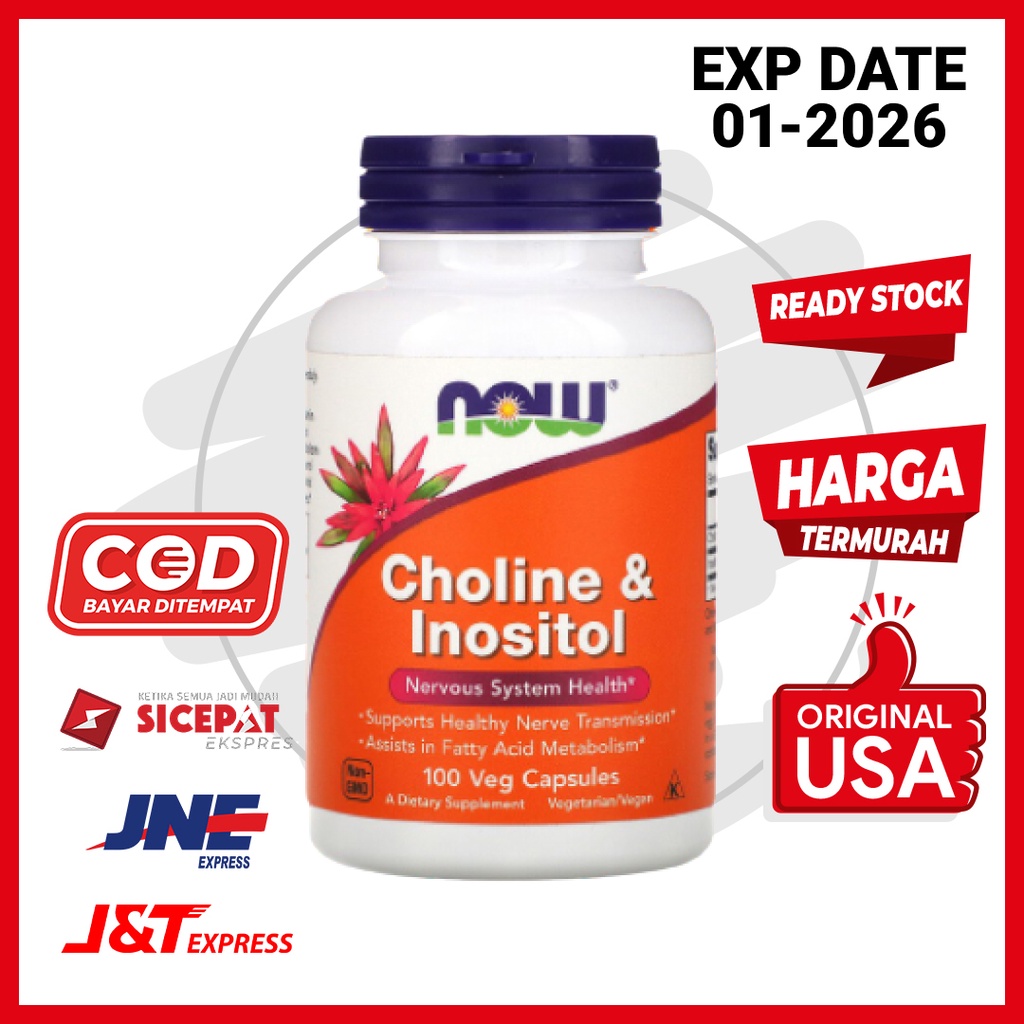 Jual Vitamin Suplemen Choline & Inositol Now 100 Vcaps | Shopee Indonesia