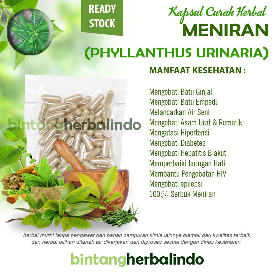Jual MENIRAN 100 Kapsul Herbal Batu Ginjal Empedu Peluruh Kencing ...