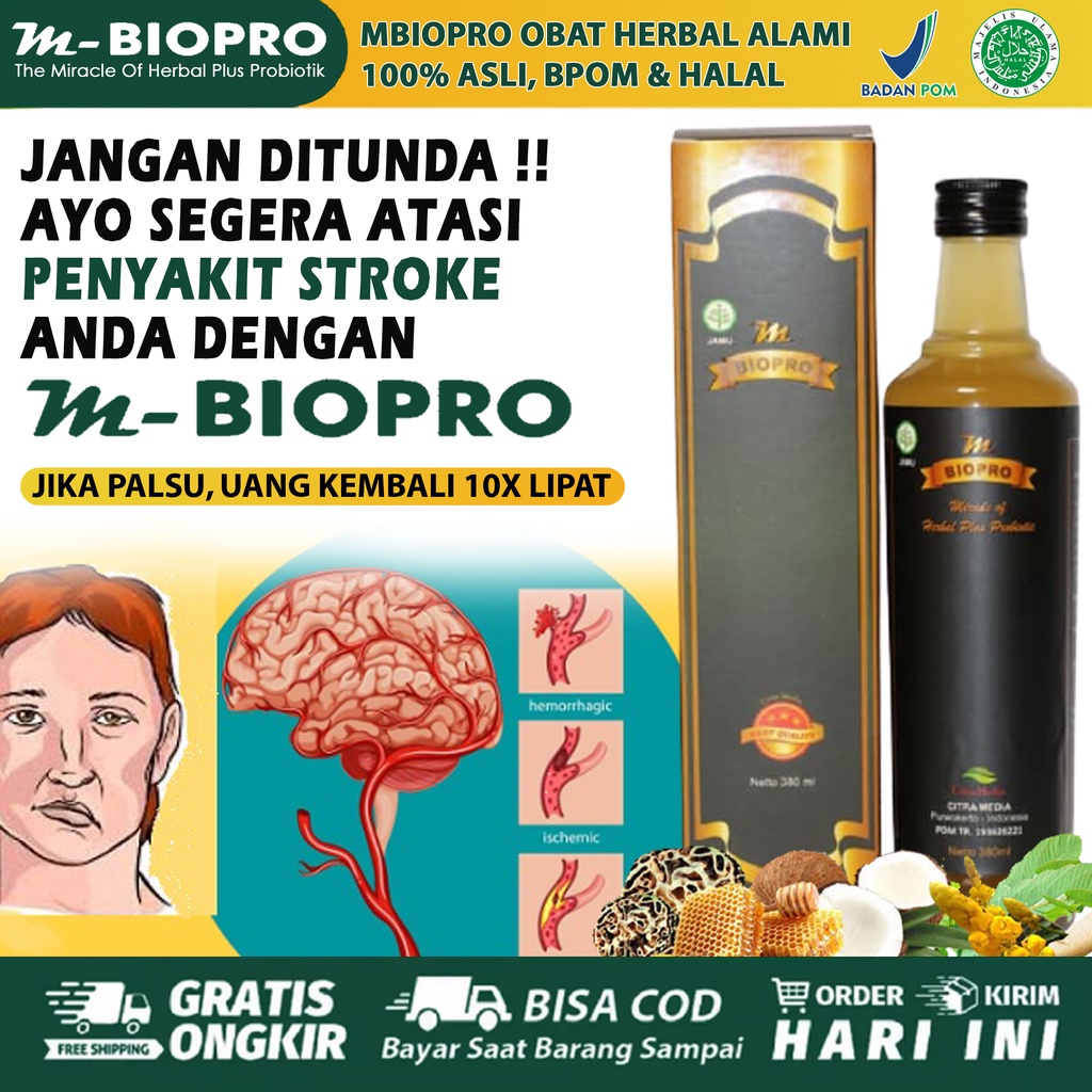 Jual Obat Stroke Ringan, Berat, Struk Ringan, Herbal Mbiopro, Ampuh 100 ...