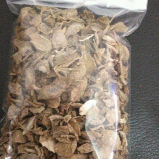 Jual New lempuyang wangi kering - puyang rempah-rempah tradisional ...