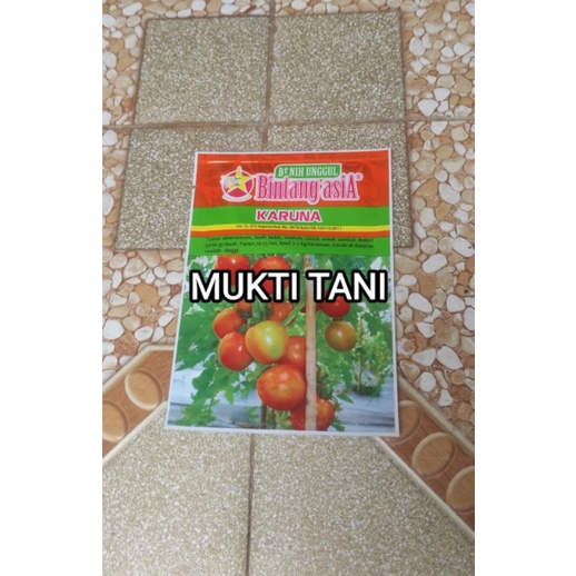 Jual Bibit Benih Tomat Karuna 10 gram | Bibit tomat bintang asia ...