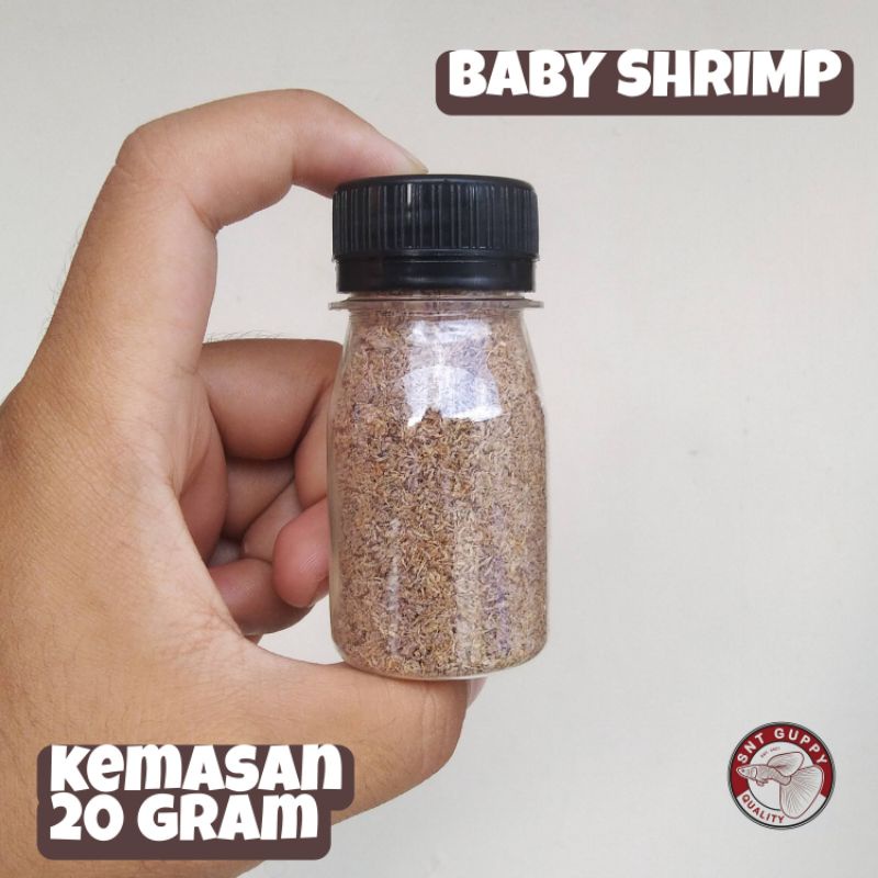 Jual BABY SHRIMP MINI SHRIMP PAKAN IKAN GUPPY CUPANG | Shopee Indonesia Jual BABY SHRIMP MINI SHRIMP PAKAN IKAN GUPPY CUPANG | Shopee Indonesia