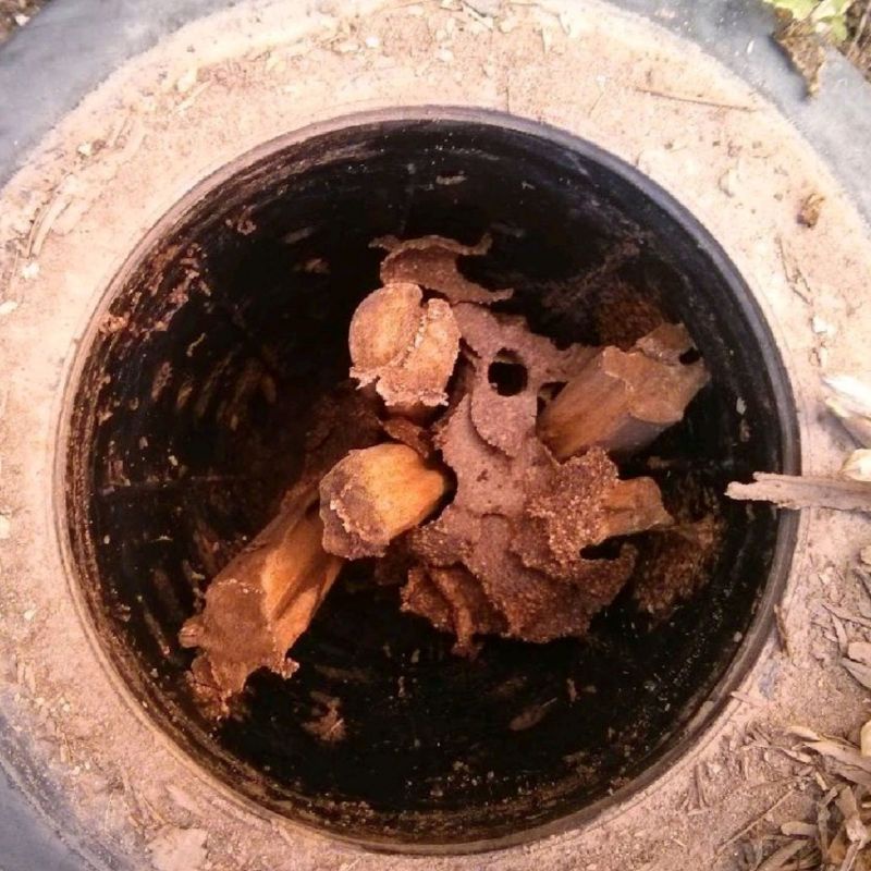 Jual Perangkap Anti Rayap Outdoor Sistem Tabung Tanam | Shopee Indonesia