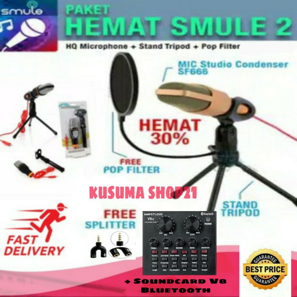 Jual Paket Rekaman Microphone Condenser SF666 dengan Pop Filter ...