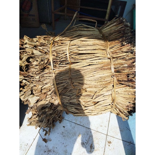 Jual eceng gondok kering dan berkualitas 1 KG | Shopee Indonesia