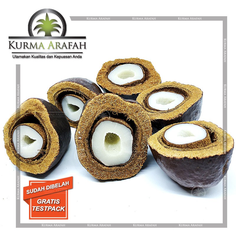 Buah Zuriat Belah Madinah - Buah Zuriat Madinah 500 Gr ORIGINAL ...