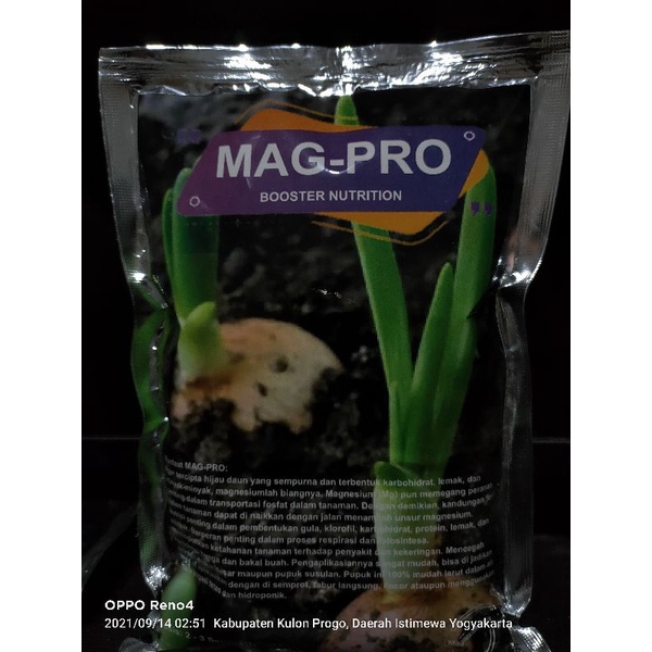 Jual pupuk magnesium murni | Shopee Indonesia
