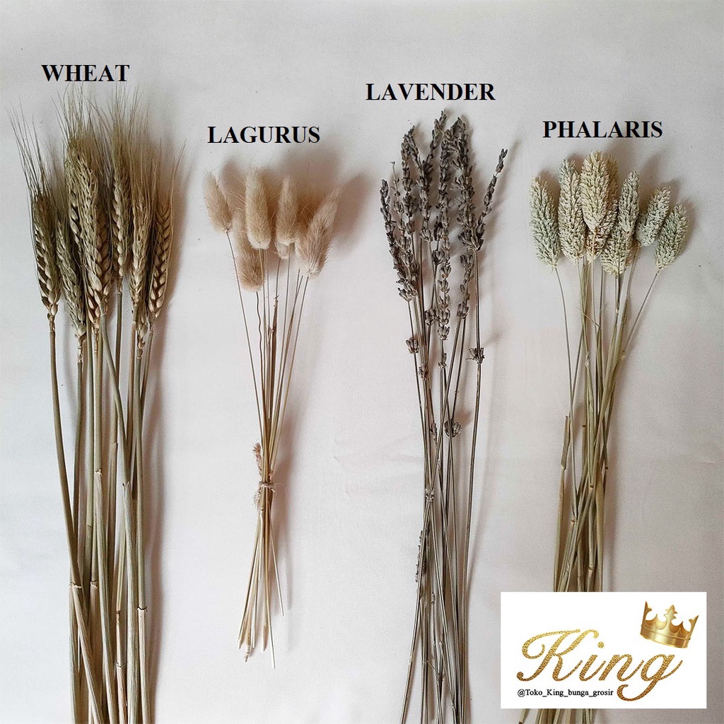 Produk toko_king_bunga_grosir | Shopee Indonesia