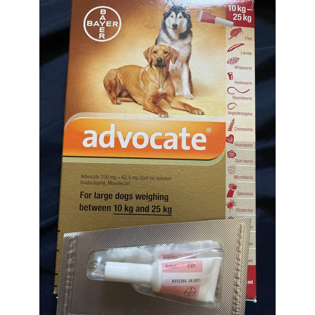 Jual Advocate Dog L 1 Tube - Obat Kutu - Cacing Anjing 10 - 25Kg ...