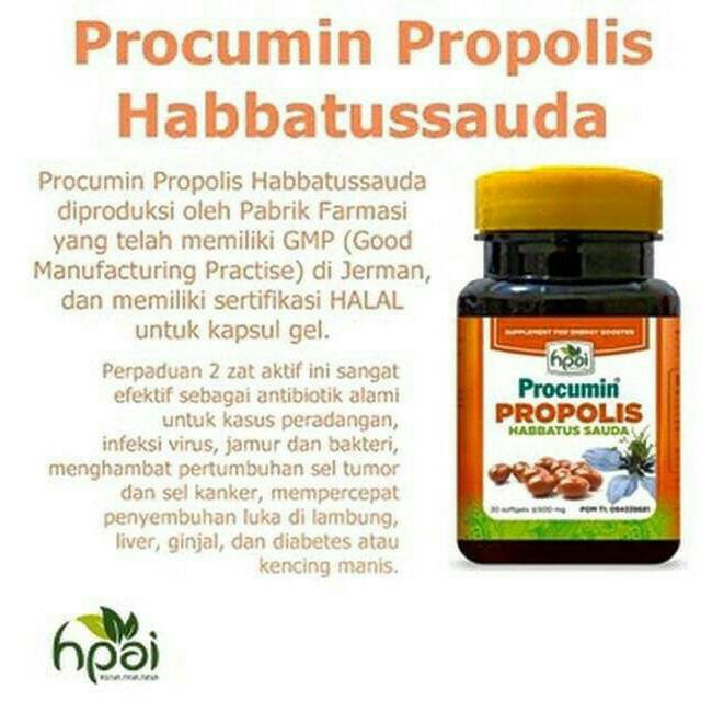 Jual PROCUMIN PROPOLIS HABBATUSSAUDA HNI HPAI | Shopee Indonesia