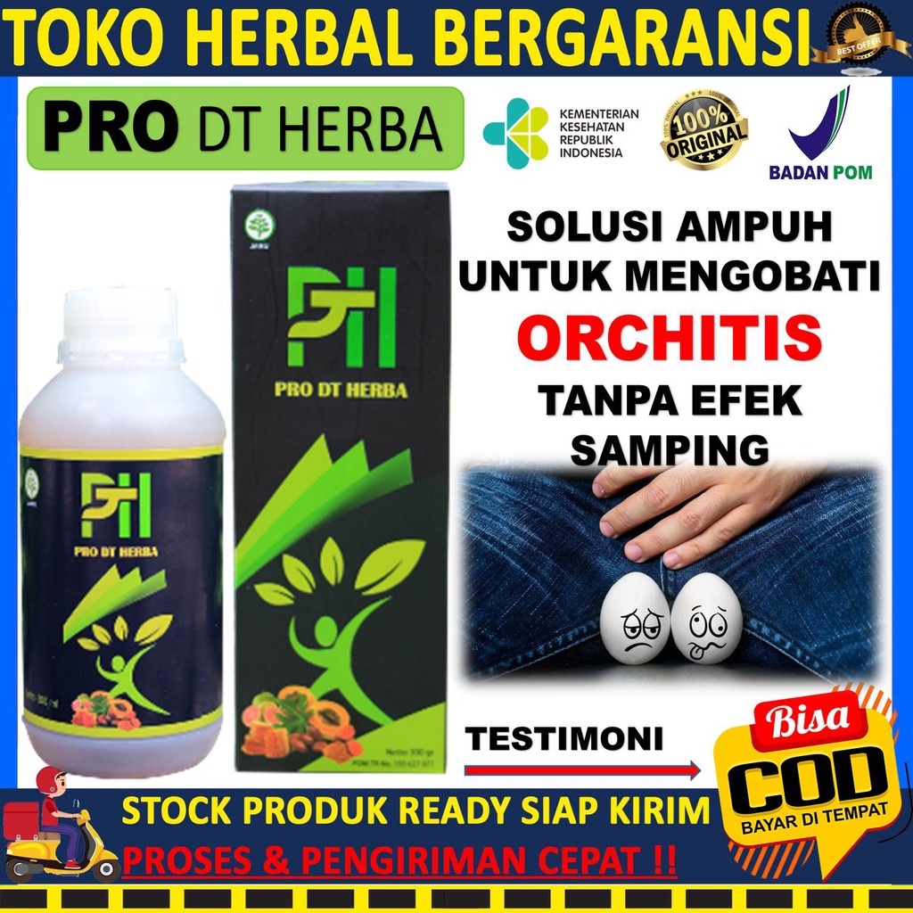 Jual PRO DT Herba_Obat Buah Zakar Bengkak Testis Bengkak Sebelah Kiri ...