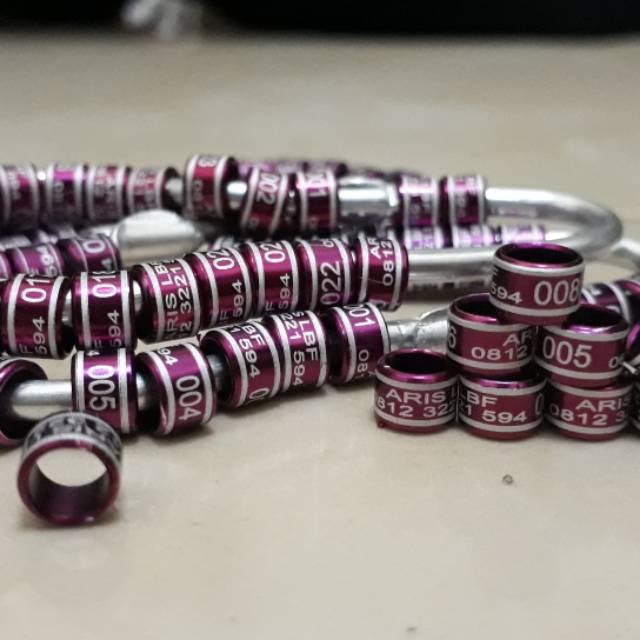 Jual RING BURUNG DENGAN LIS GARIS GARIS 25 pcs | Shopee Indonesia