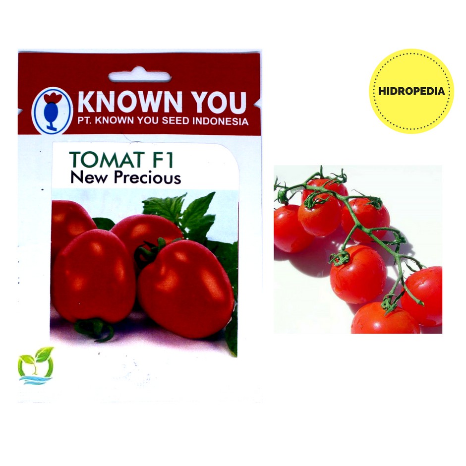 Jual Benih Bibit Tomat F1 New Precious (80 Seeds) - Known You Seed ...