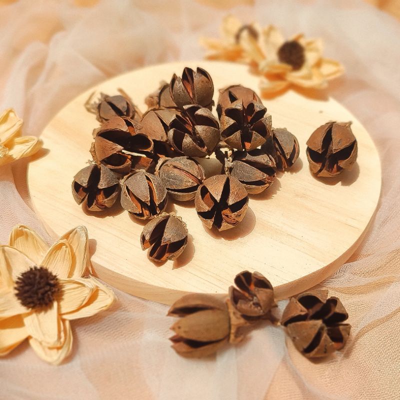 Jual Bunga Sakura Jawa Kering Premium | Shopee Indonesia