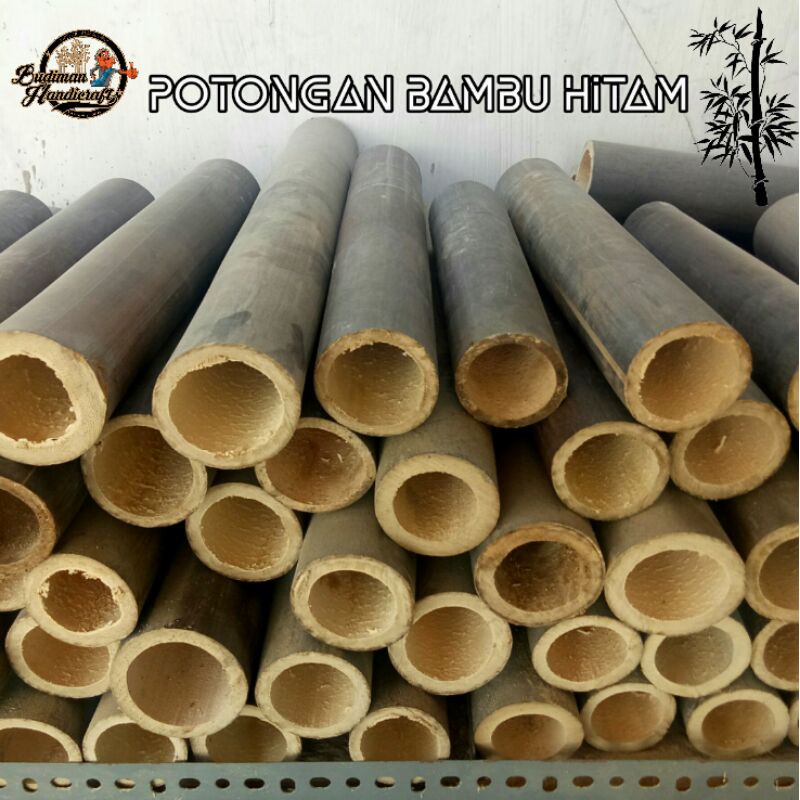 Jual bambu besar Harga Terbaik & Termurah Maret 2023 | Shopee Indonesia