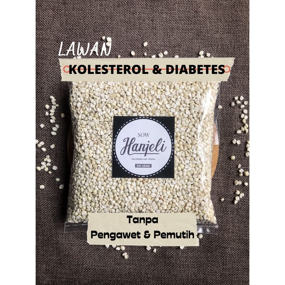 Jual Hanjeli SOW ( 500 gr ) Jali jali aceh lokal / hanjeli lokal / biji ...