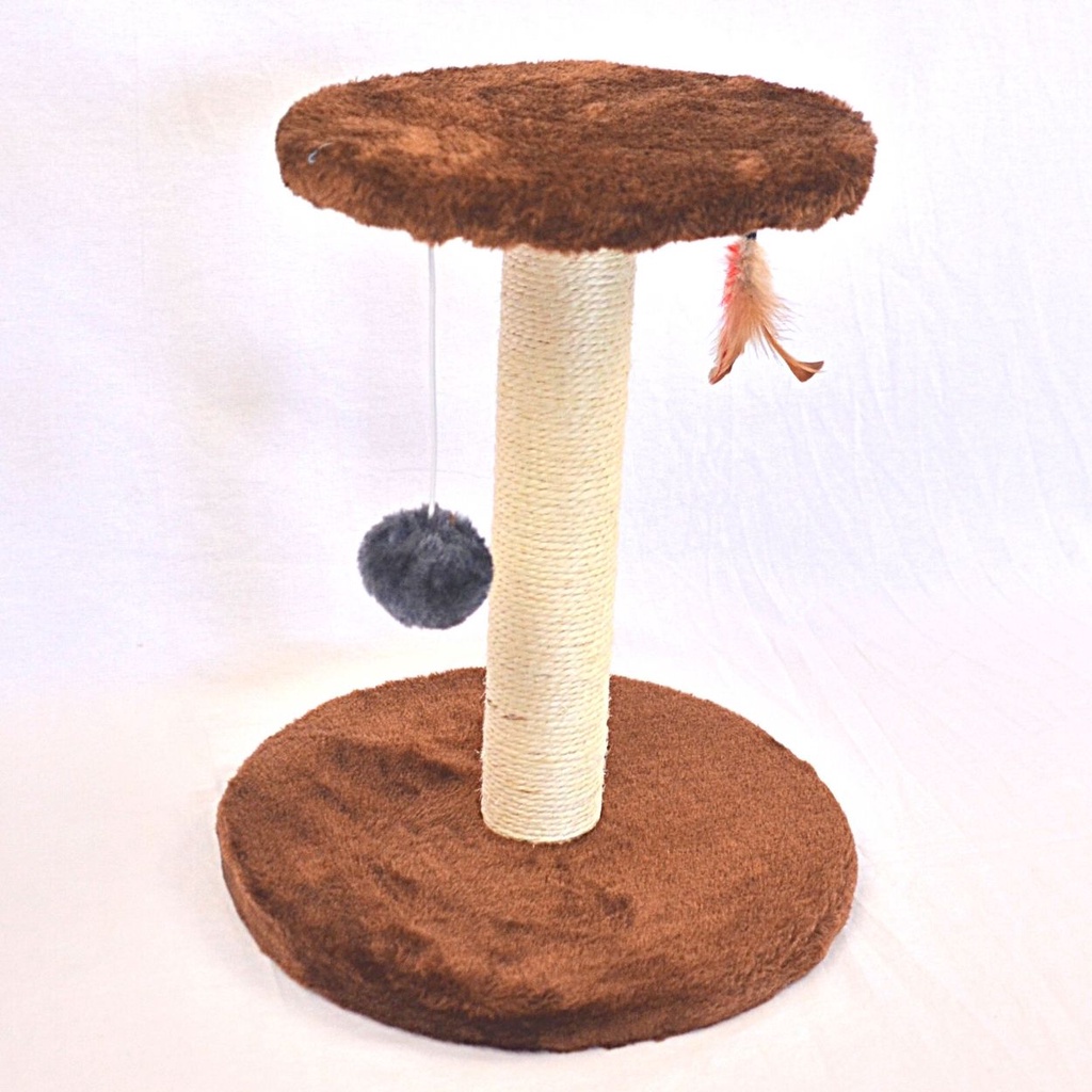 Harga Animal&co Terbaru Sep 2024 |BigGo Indonesia