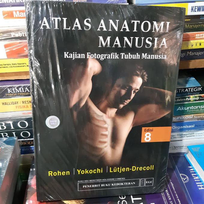 Harga Yokochi Terbaru Desember 2021 | BigGo Indonesia