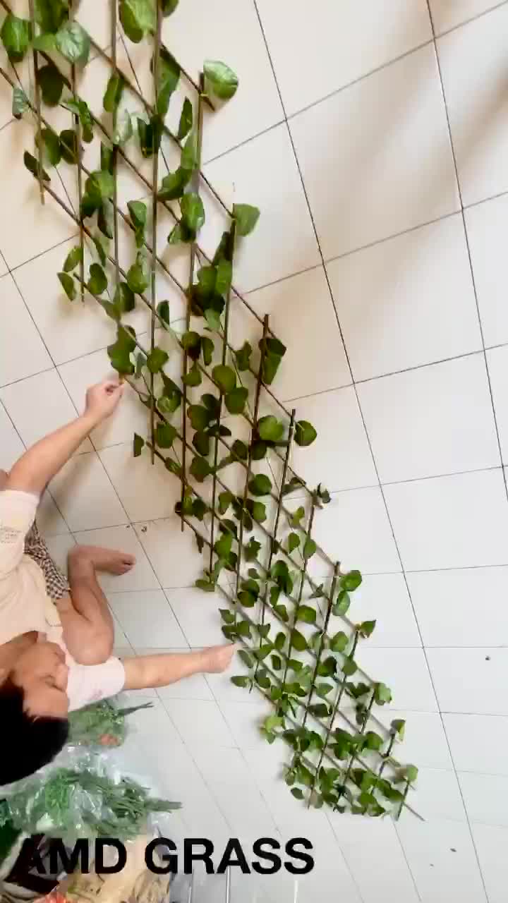 Jual Rumput Daun Pagar bisa dilebarkan sesuai dengan ukuran pagar ...