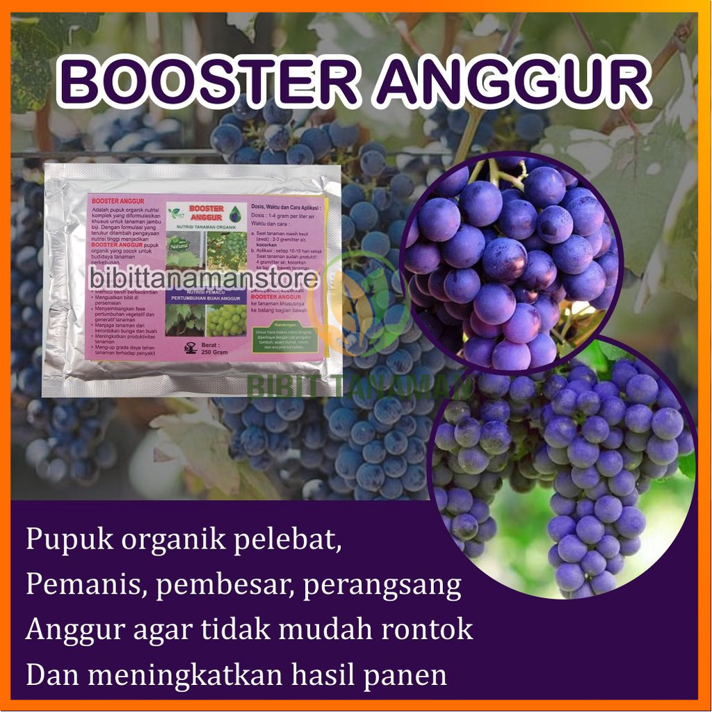 Jual Pupuk Organik Booster Anggur Cepat Berbuah, Pupuk Pelebat Buah ...