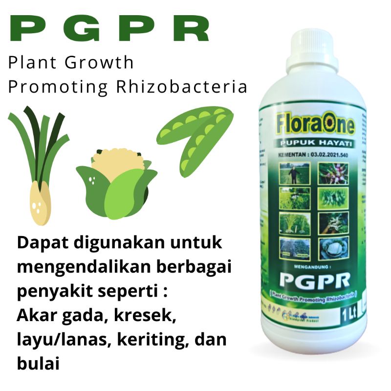 Jual Pupuk Hayati agar cepat berbuah, Trichoderma Harzianum untuk tanaman cabe | Shopee Indonesia