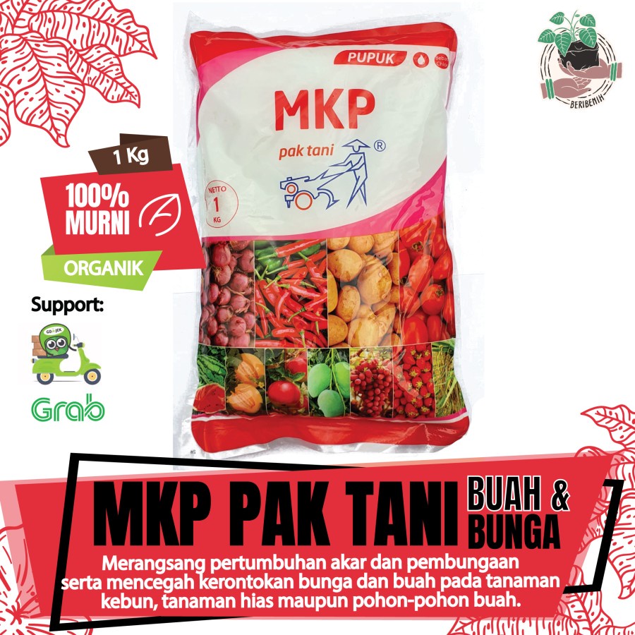 Jual Pupuk Mkp Pak Tani Mono Kalium Phosphat Pupuk Tanaman Sayur Buah ...