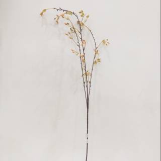 Jual Daun Willow / Bunga Willow / Bunga Artificial / Bunga Plastik ...