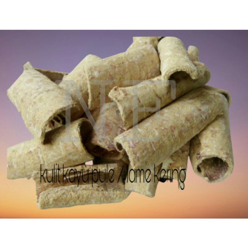 Jual kayu pule kering/kayu lame kering 50 gram | Shopee Indonesia