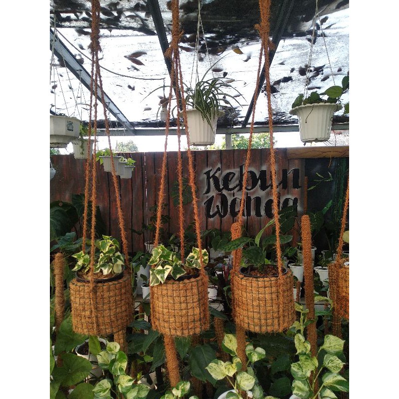 Jual pot gantung kerajinan tangan cantik dan unik | Shopee Indonesia