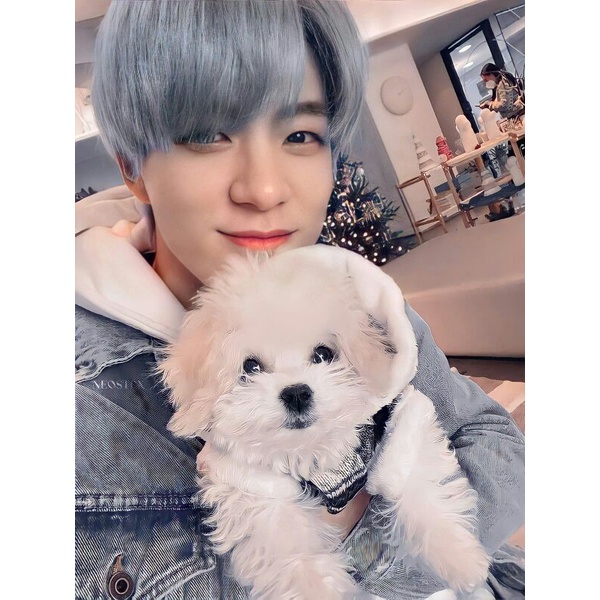 Harga daegal Terbaru Des 2024 |BigGo Indonesia