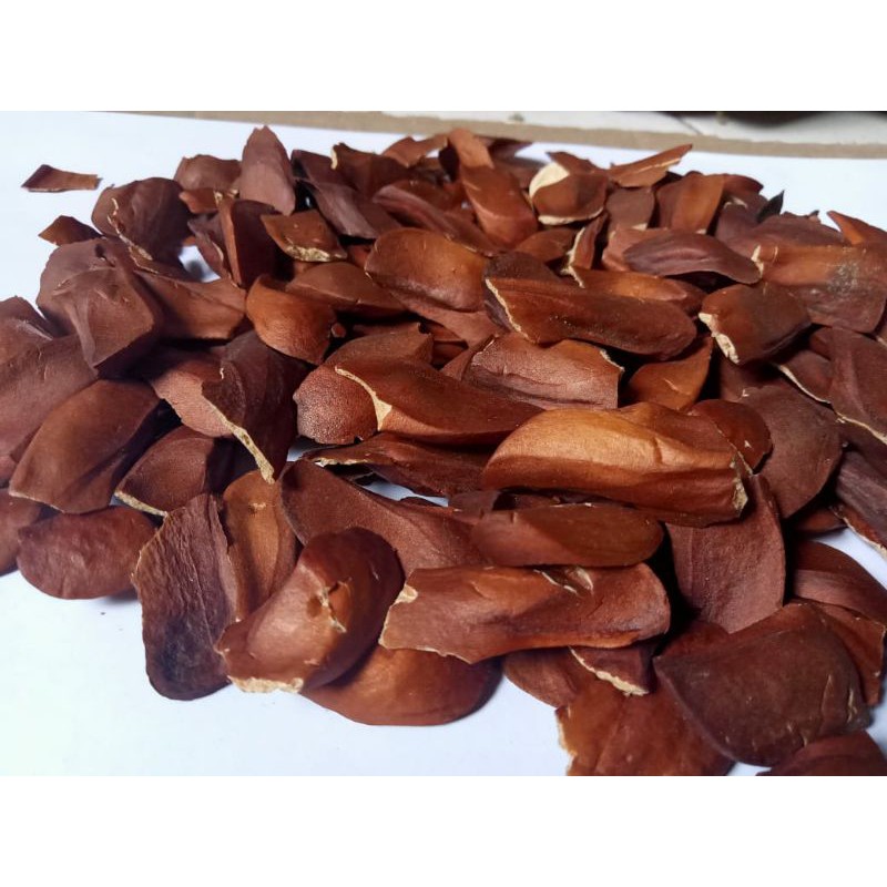 Jual biji mahuni 100 gram | Shopee Indonesia