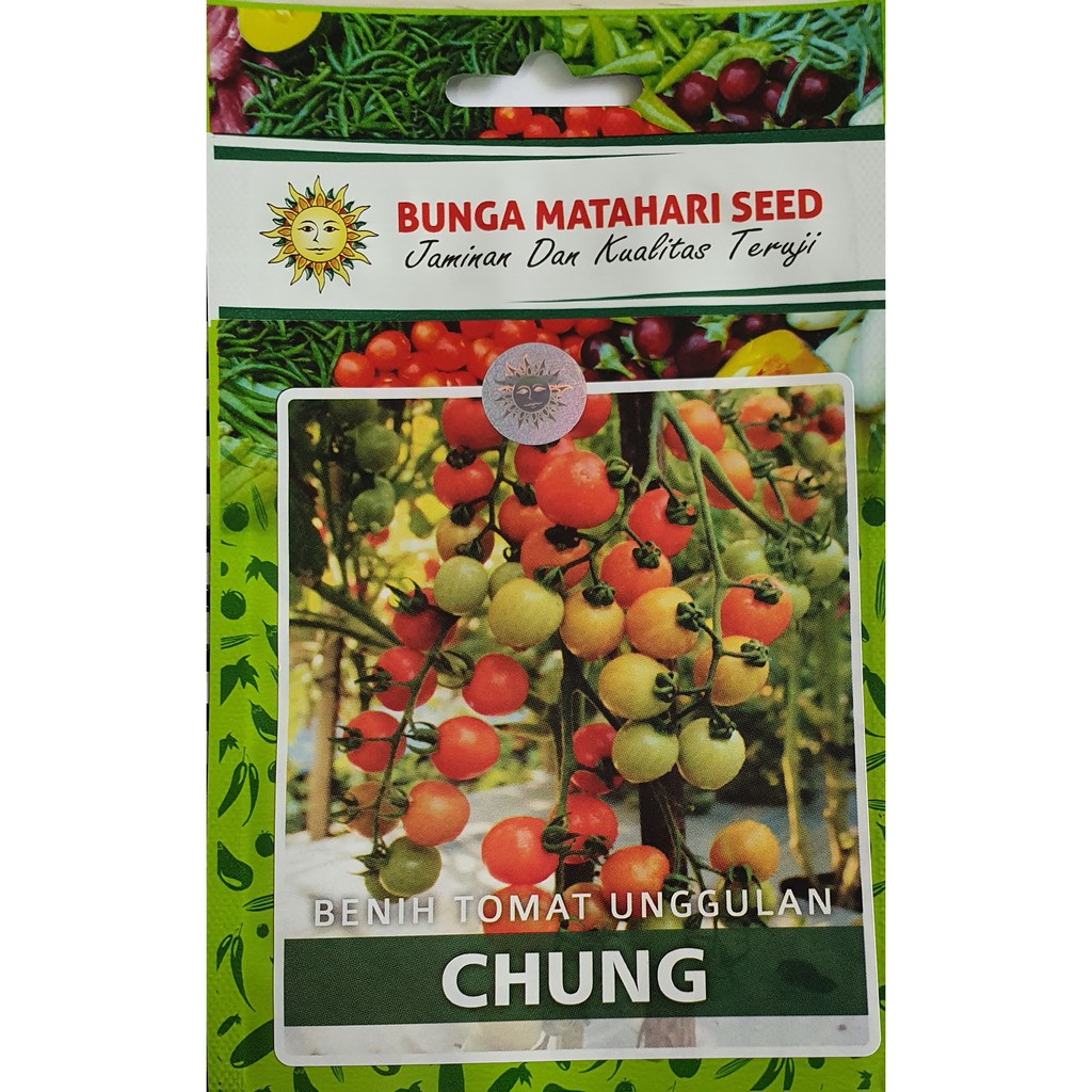 Jual Benih Tomat Chung (Cap Bunga Matahari) 900 butir (kemasan pabrik ...