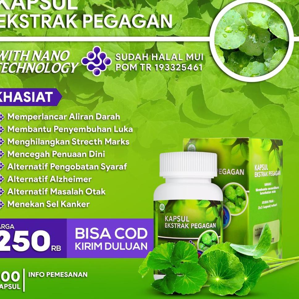 Harga epilepsi pegagan Terbaru Feb 2025 | BigGo Indonesia