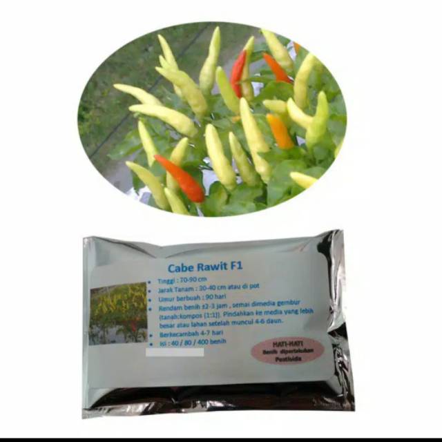 Jual Benih Cabe Rawit - 40 Benih | Shopee Indonesia