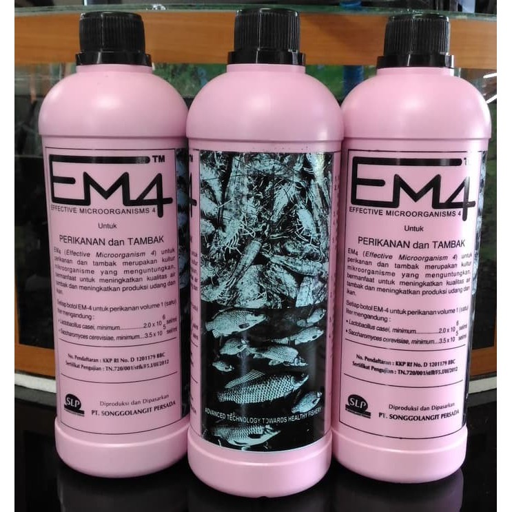 Jual EM4 tambak dan perikanan bakteri starter probiotik aquarium kolam ...