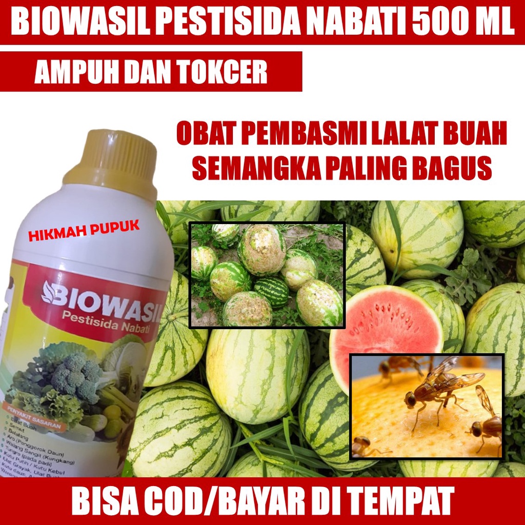 Jual Insektisida Pestisida Organik Obat Hama Lalat Semangka BIOWASIL ...