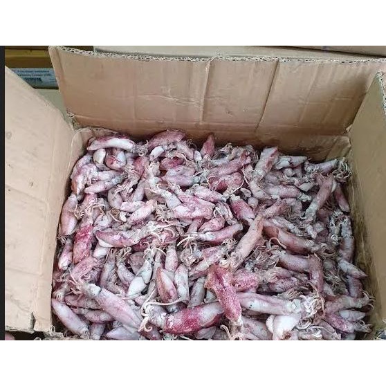 Jual Cumi Asin Fresh 500 Gr Cumi Rebus Cumi Asin Semi Basah Sotong ...