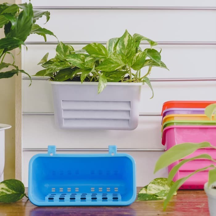 Jual Pot Tempel Bunga Tanaman NKT Warna 22 cm Dinding | Shopee Indonesia